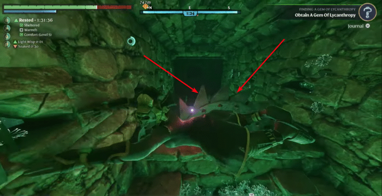 How to Get the Bloodfeather Set in Enshrouded - Games Fuze
